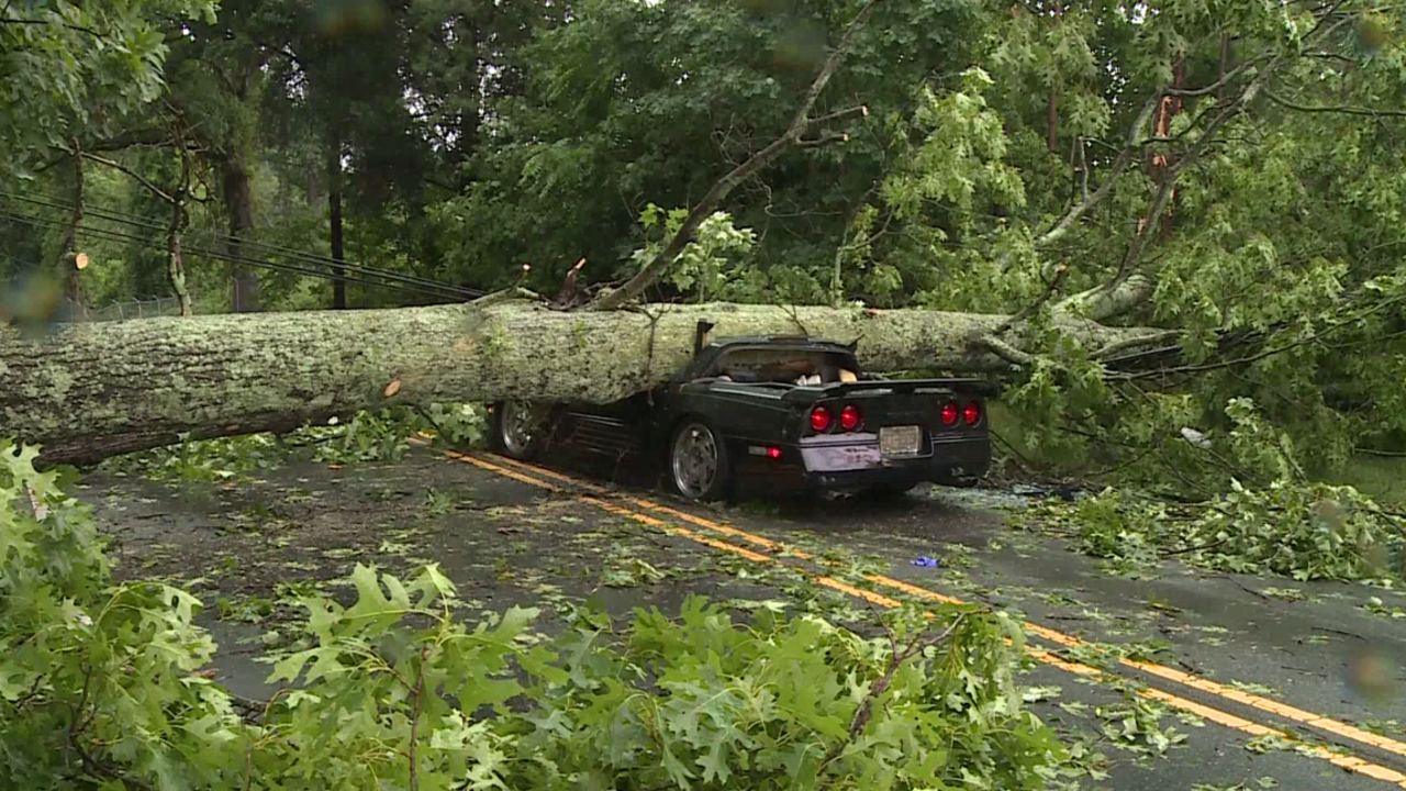 Glen Alpine Tree Falls On Car at Indiana Houlding blog